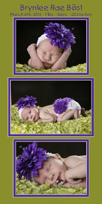 child-portrait-newborn-birth-collage-brynlee-rae - Michael Anderson ...