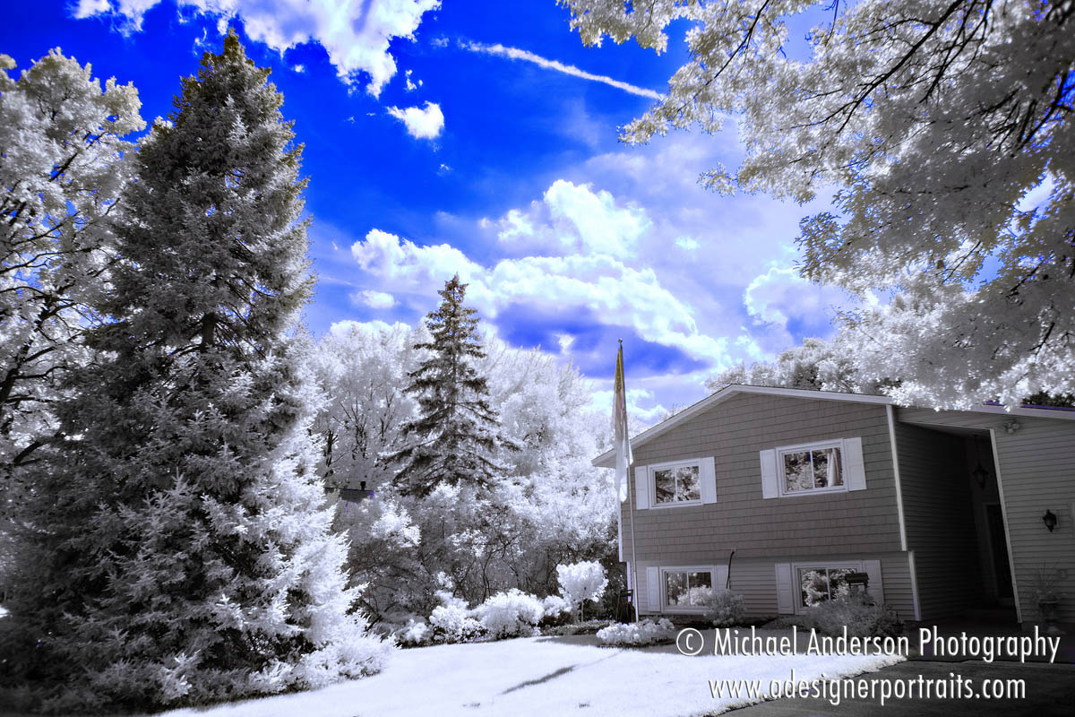 Color infrared photography of our home photography studio at Michael ...