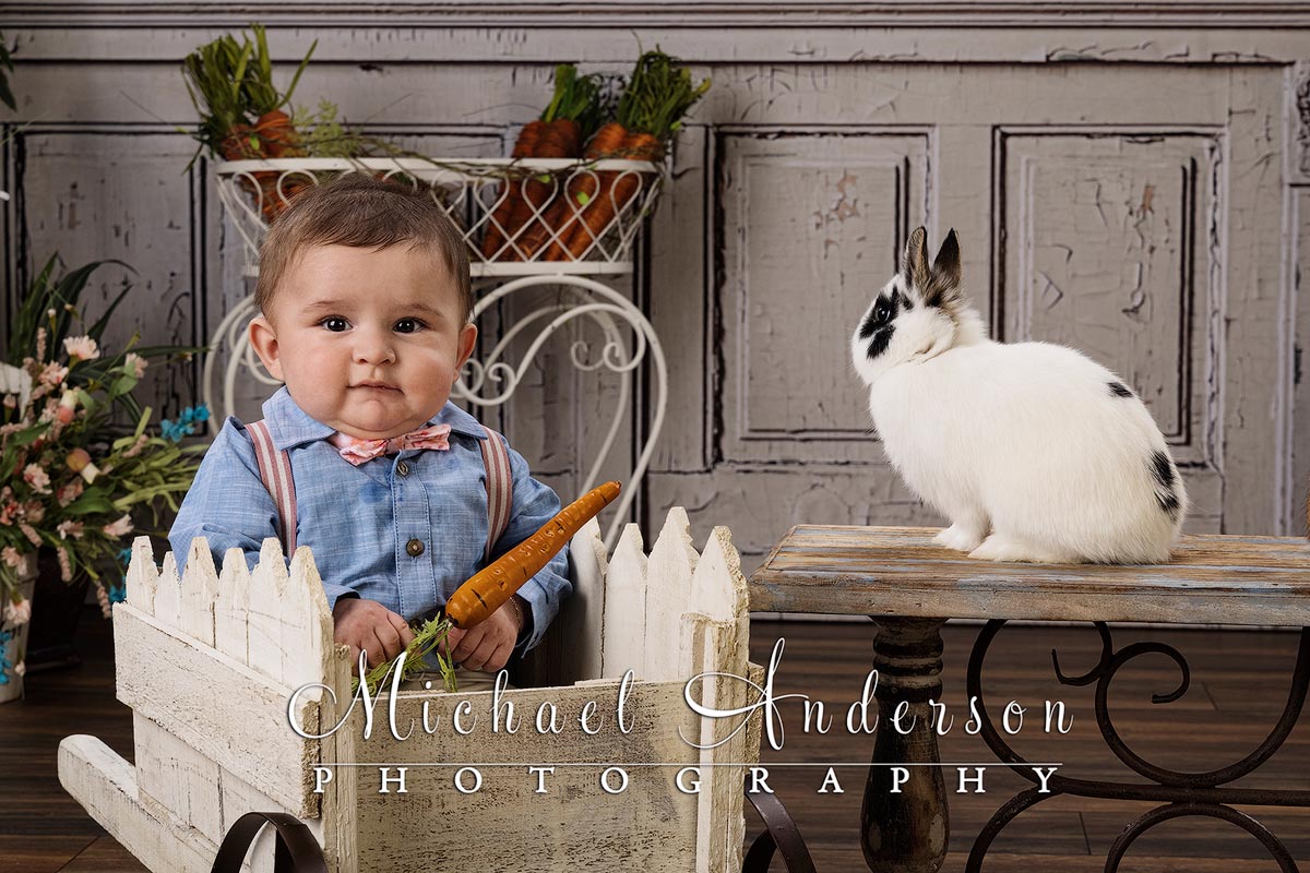 Easter Bunny Portraits Mounds View MN Photographer