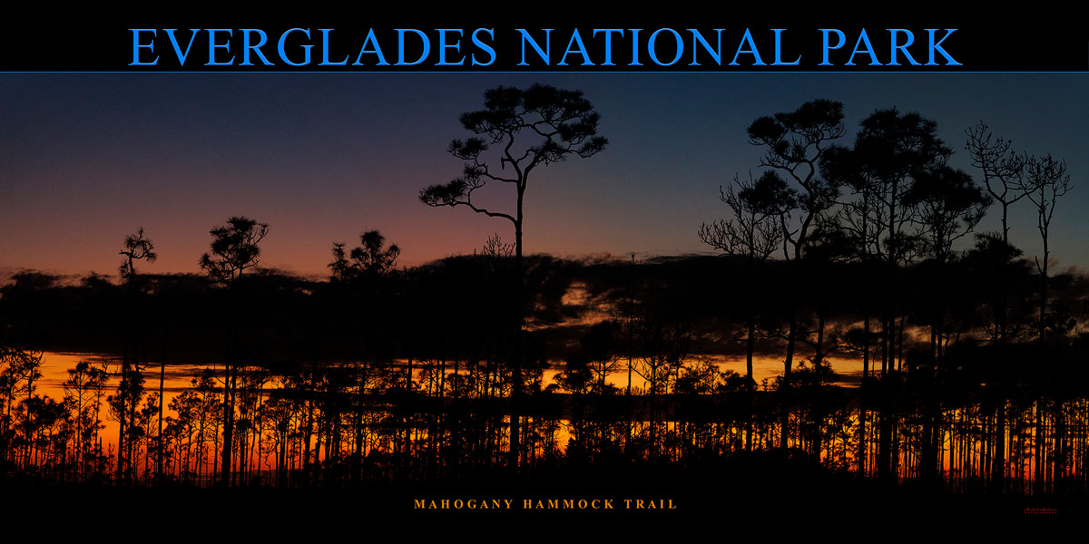 Nature and Wildlife Photography in The Everglades - MN Photographer